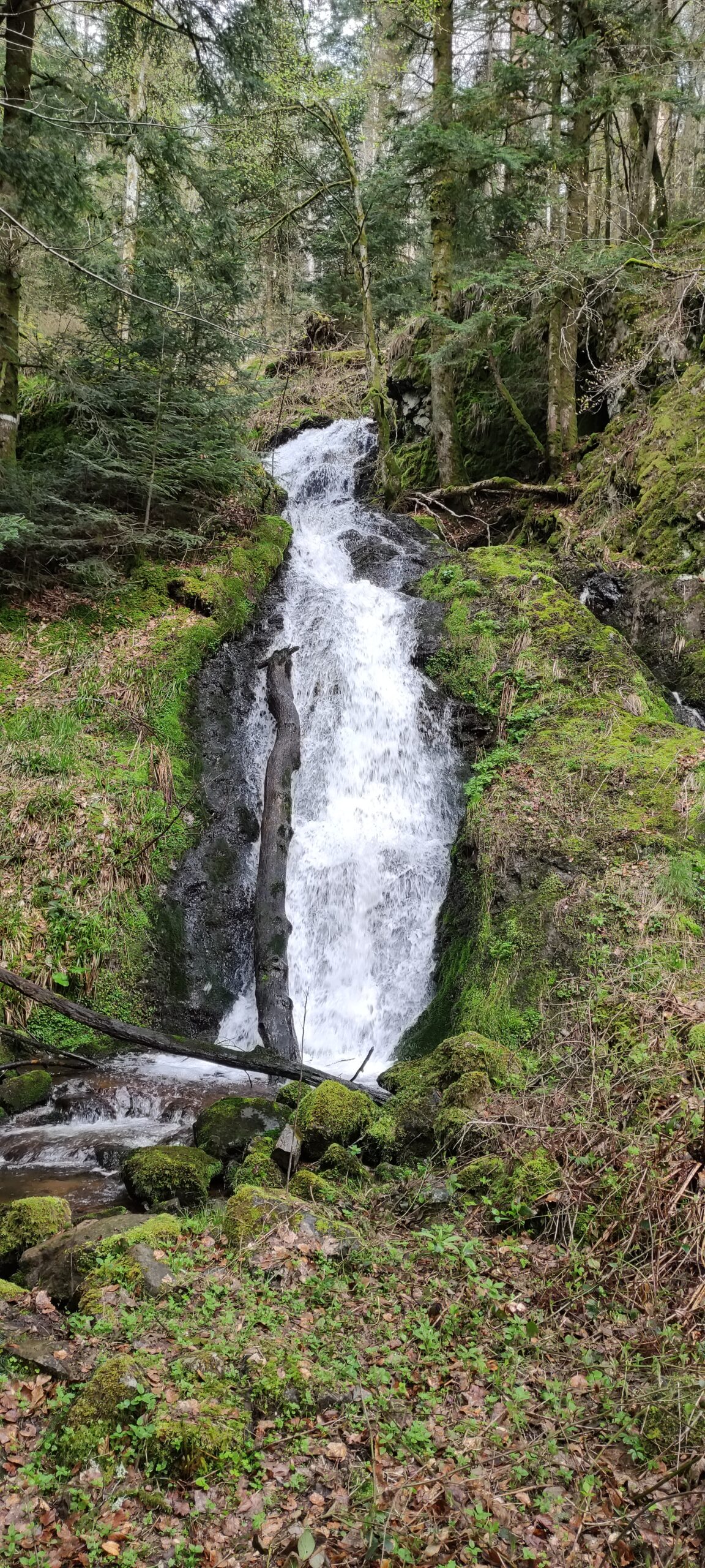 21 Mai 2023 : Ballon d’Alsace-Cascades- Lerchenmatt-Wissgrut – Les ...