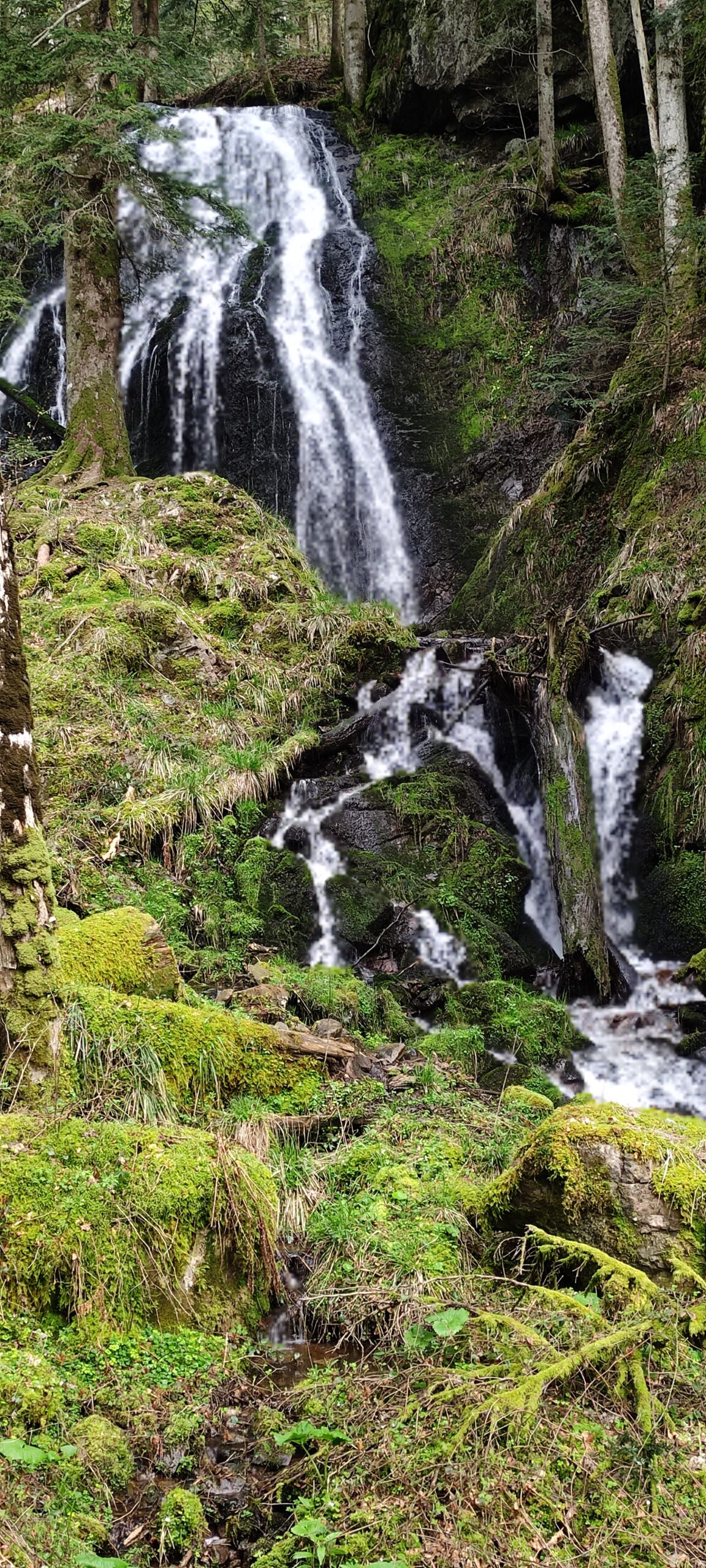 21 Mai 2023 : Ballon d’Alsace-Cascades- Lerchenmatt-Wissgrut – Les ...
